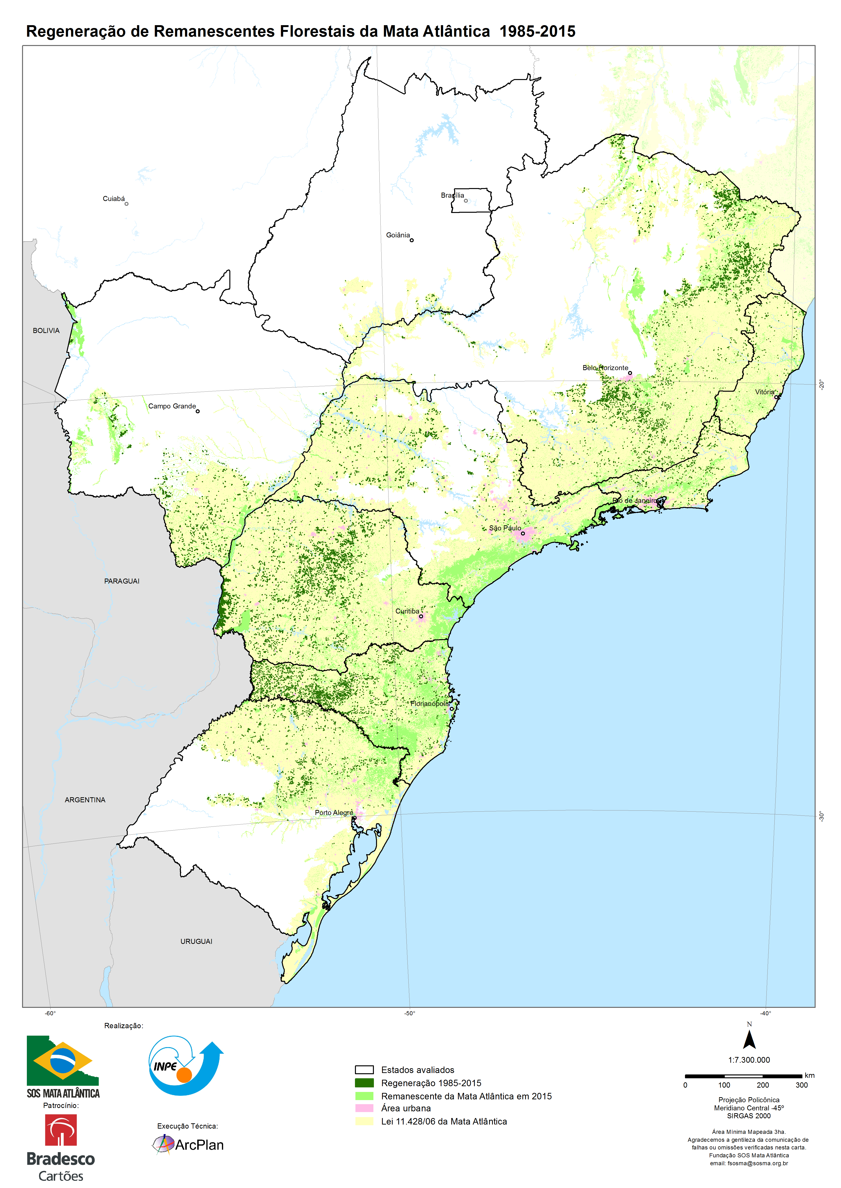 Estudo inédito traça panorama da regeneração florestal na Mata ...