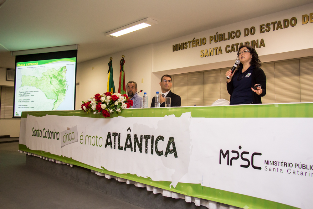 SOS Mata Atlântica lança estudo detalhado sobre o bioma em Santa ...