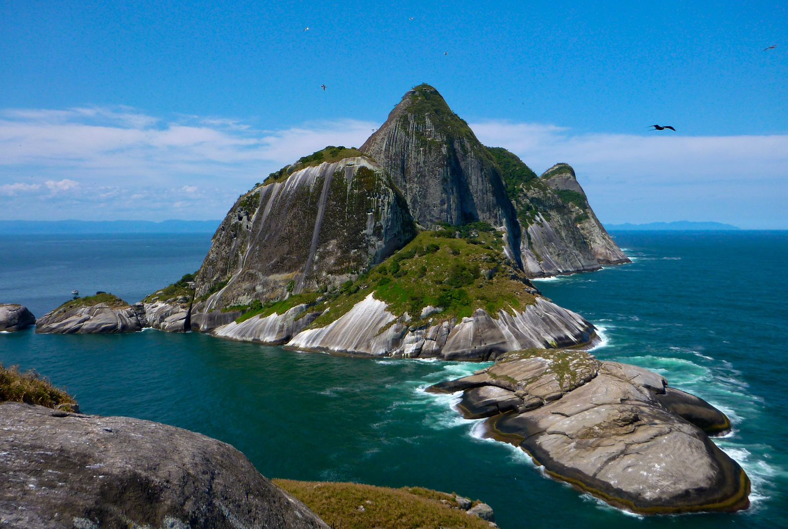Alcatrazes ganha prêmio por conservação | SOS Mata Atlântica